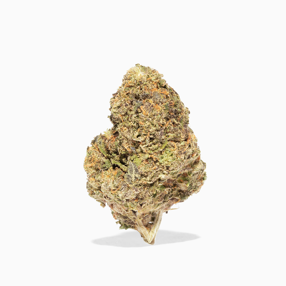 Coco-Lato THCA Flower | Stashed Co.